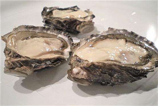 TOPS Oysters™ - Traceable Oysters Production System